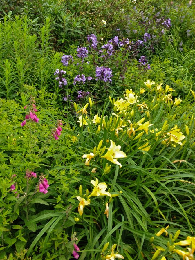 english flower borders Archives ~ A Peaceable Garden Landscape Design
